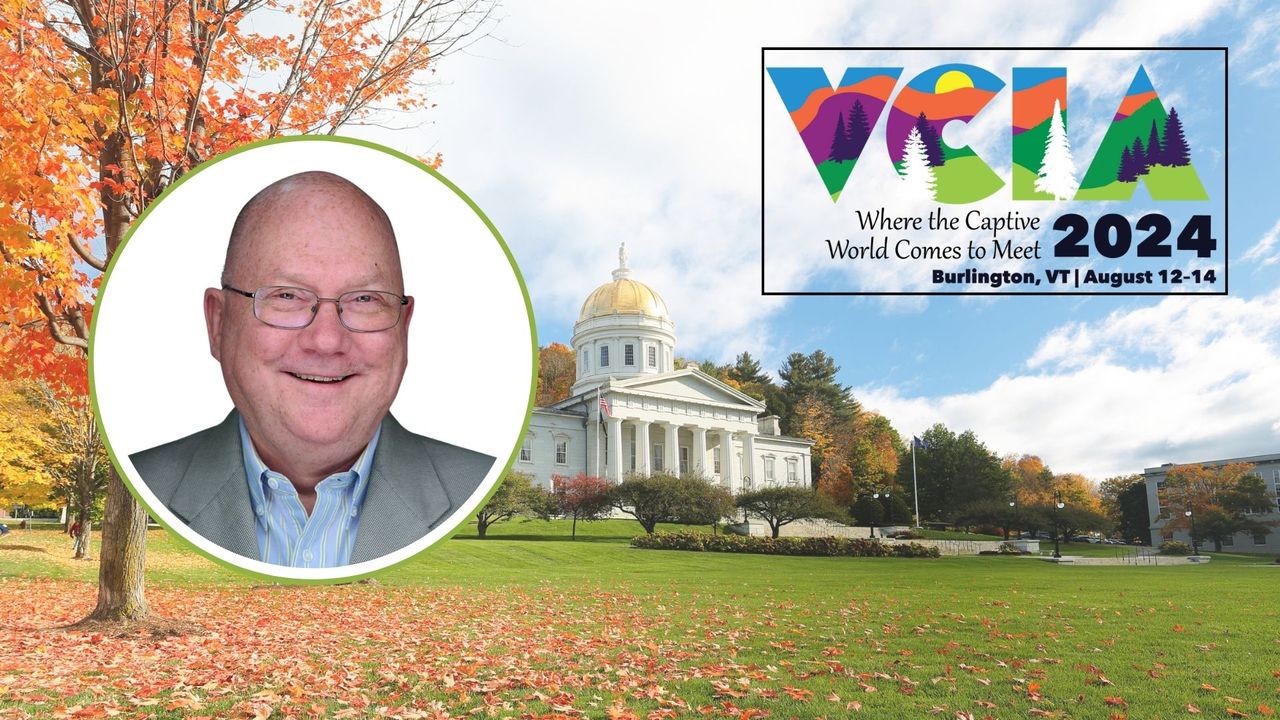 Expansion and evolution: the key themes at VCIA 2024 | Captive ...